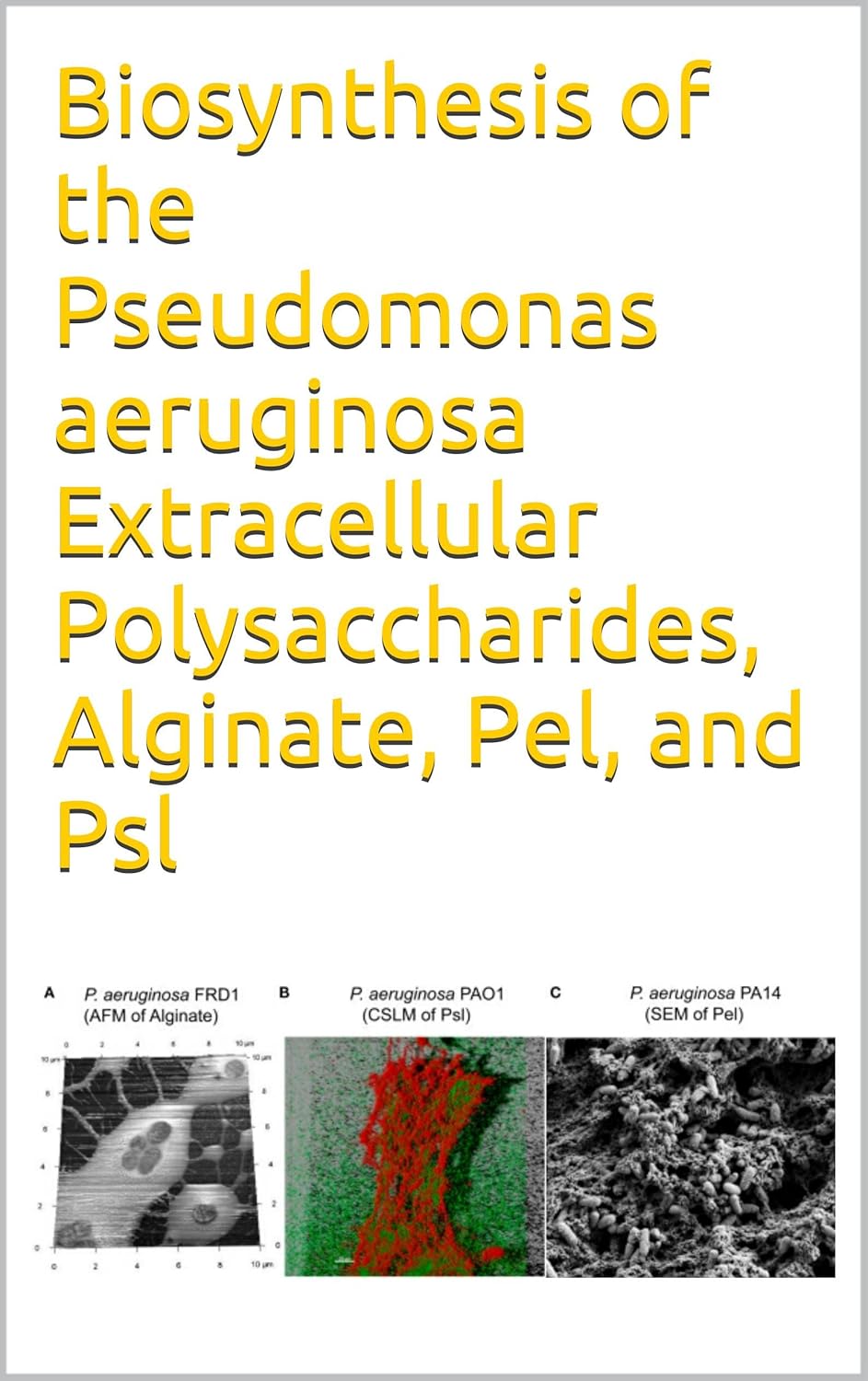 Biosynthesis of the Pseudomonas aeruginosa Extracellular ...