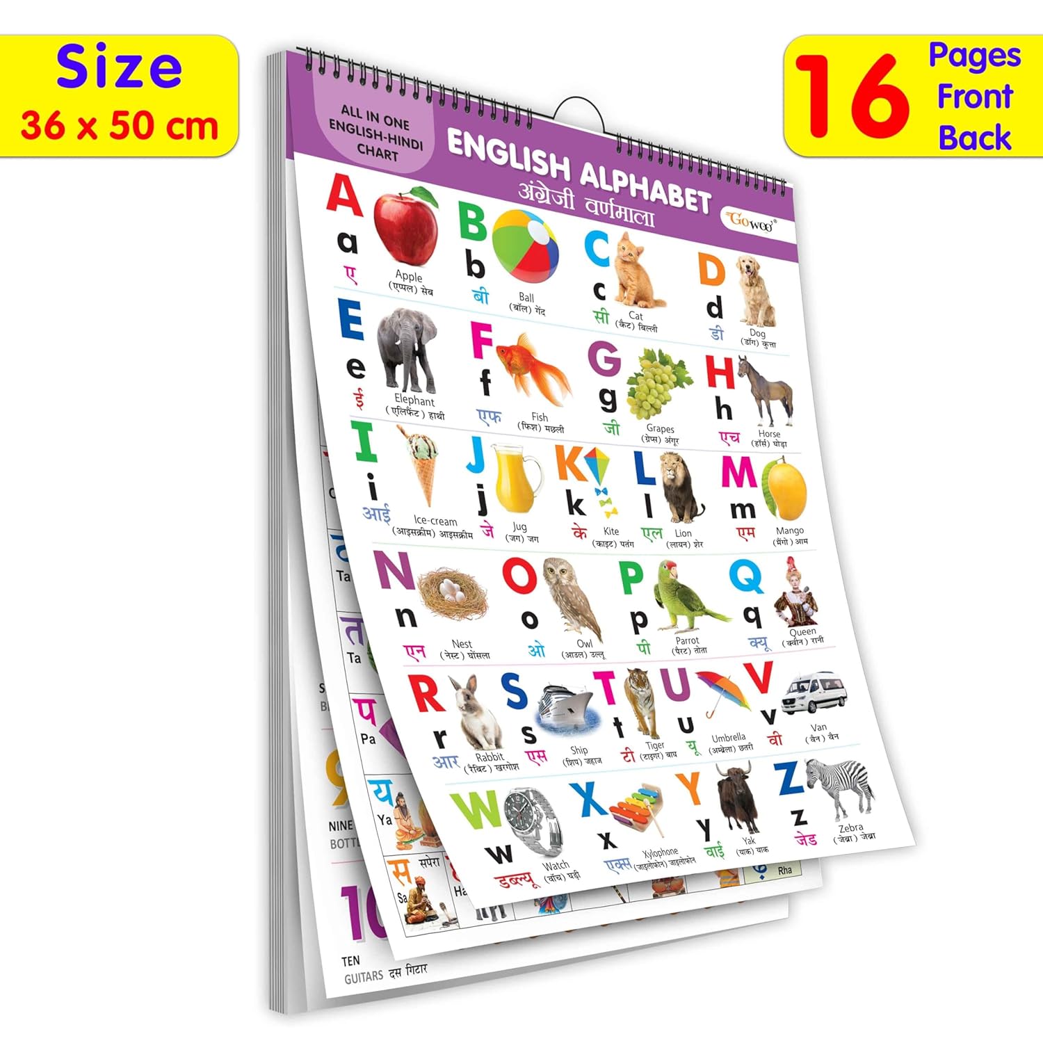 Buy ENGLISH-HINDI Chart For Kids (16 Charts ) 36 x 50 cm - Children ...
