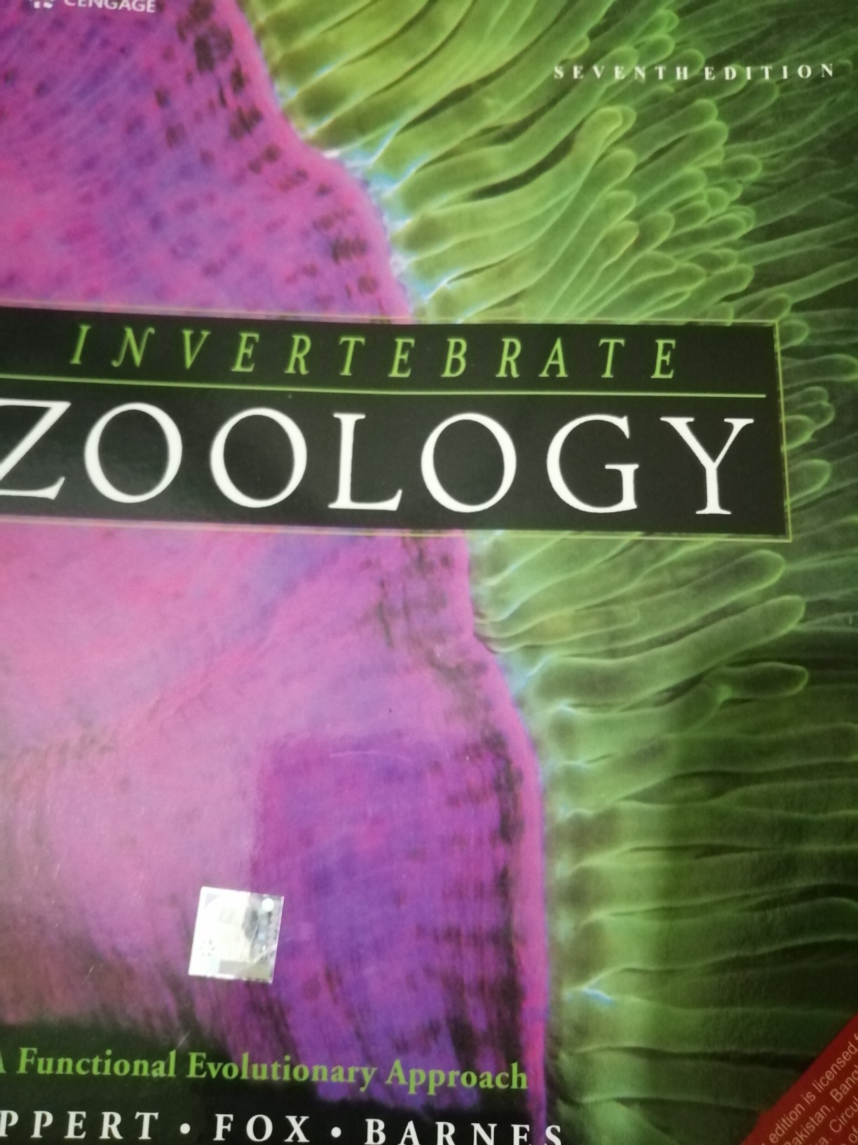 Buy INVERTEBRATE ZOOLOGY: A FUNCTIONAL EVOLUTIONARY APPROACH, 7TH EDN ...