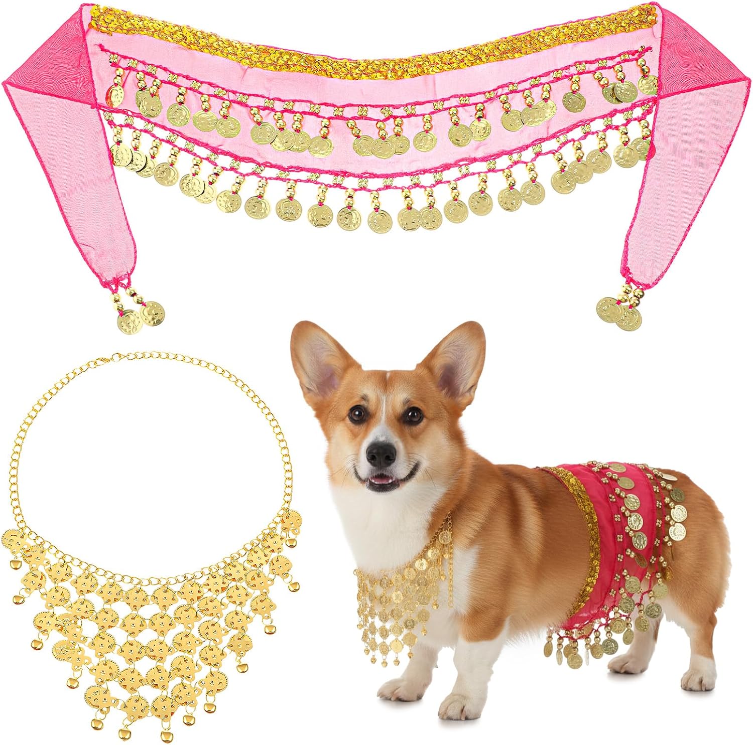 Amazon.com : HJZHII Dog Belly Dancer Skirt, Corgi Costume for Dogs Dog ...