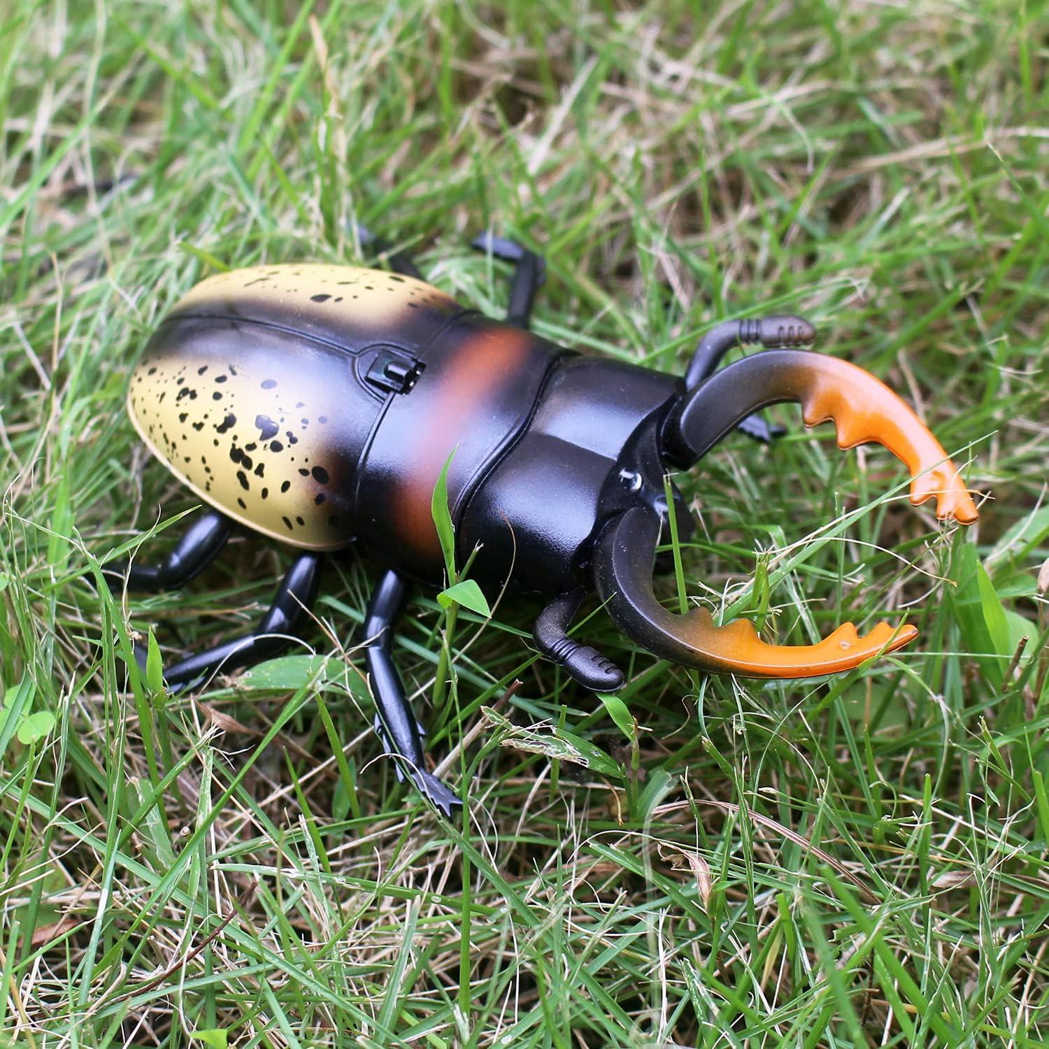 Tipmant RC Beetle Control remoto insectos realista simulación ...