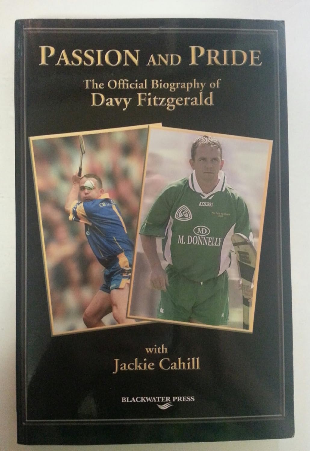 Buy Passion and Pride: The Official Biography of Davy Fitzgerald Book ...