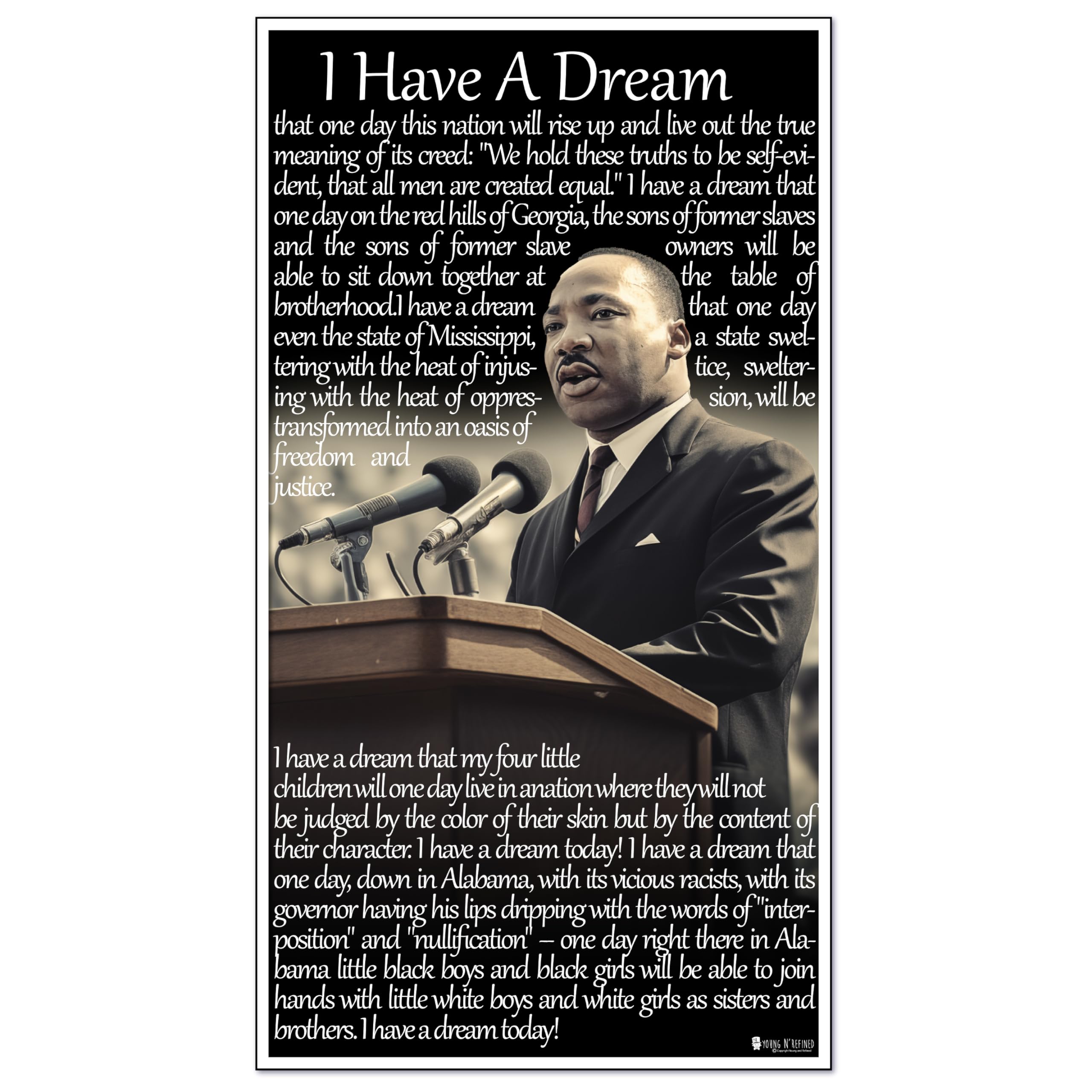 Amazon.com: Martin Luther King Jr. Banner for Classroom Laminated ...