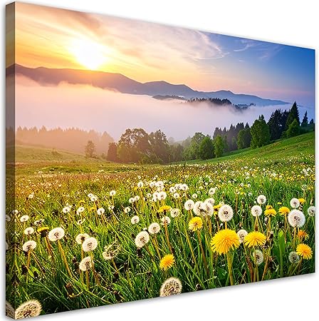 Feeby - Impression sur Toile - Chambre Salon - Prairie pissenlits ...