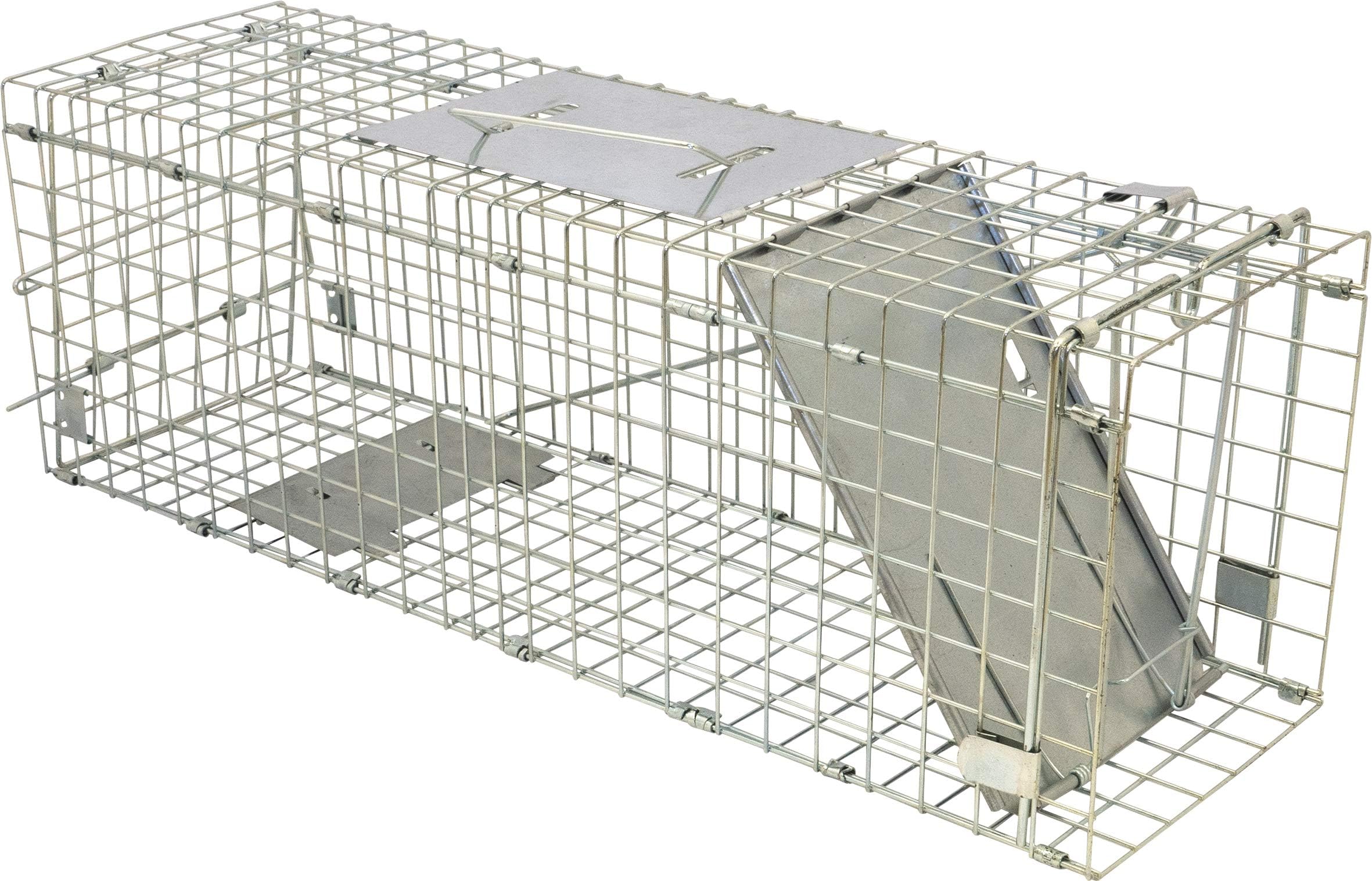 PestExpel® Live Catch, Rabbits, Squirrels, Mink, Feral Cat, Vermin ...