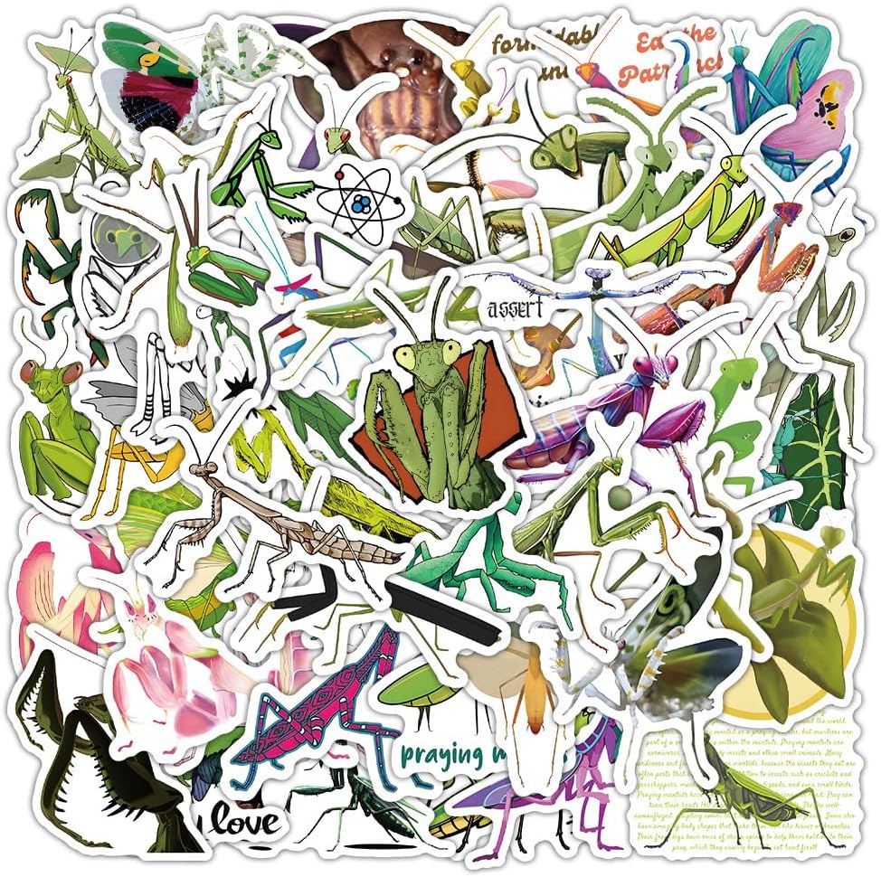 Amazon.com: 54Pcs Mantis Stickers Vinyl Waterproof Cute Cartoon Insect ...