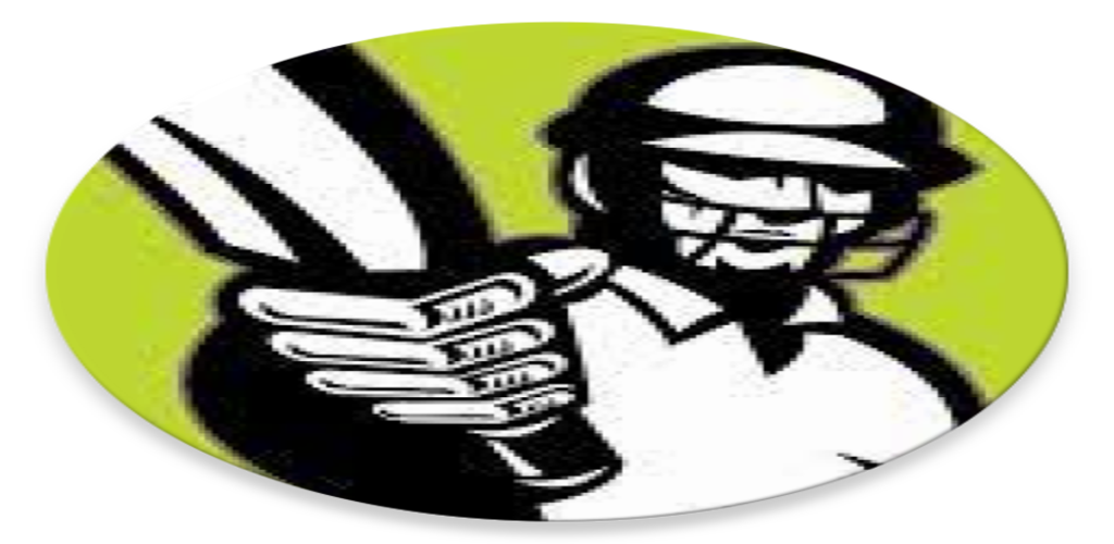 Street Cricket Logo