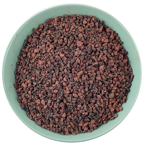 The Savvy Gardener's Guide to Rocks for Hydroponics Systems