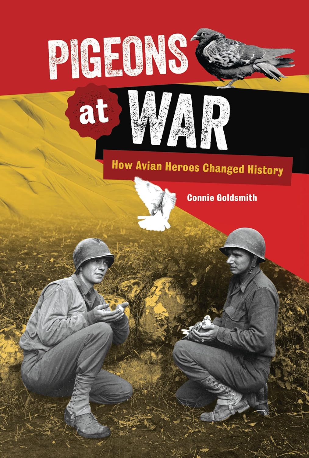 Amazon.com: Pigeons at War: How Avian Heroes Changed History ...