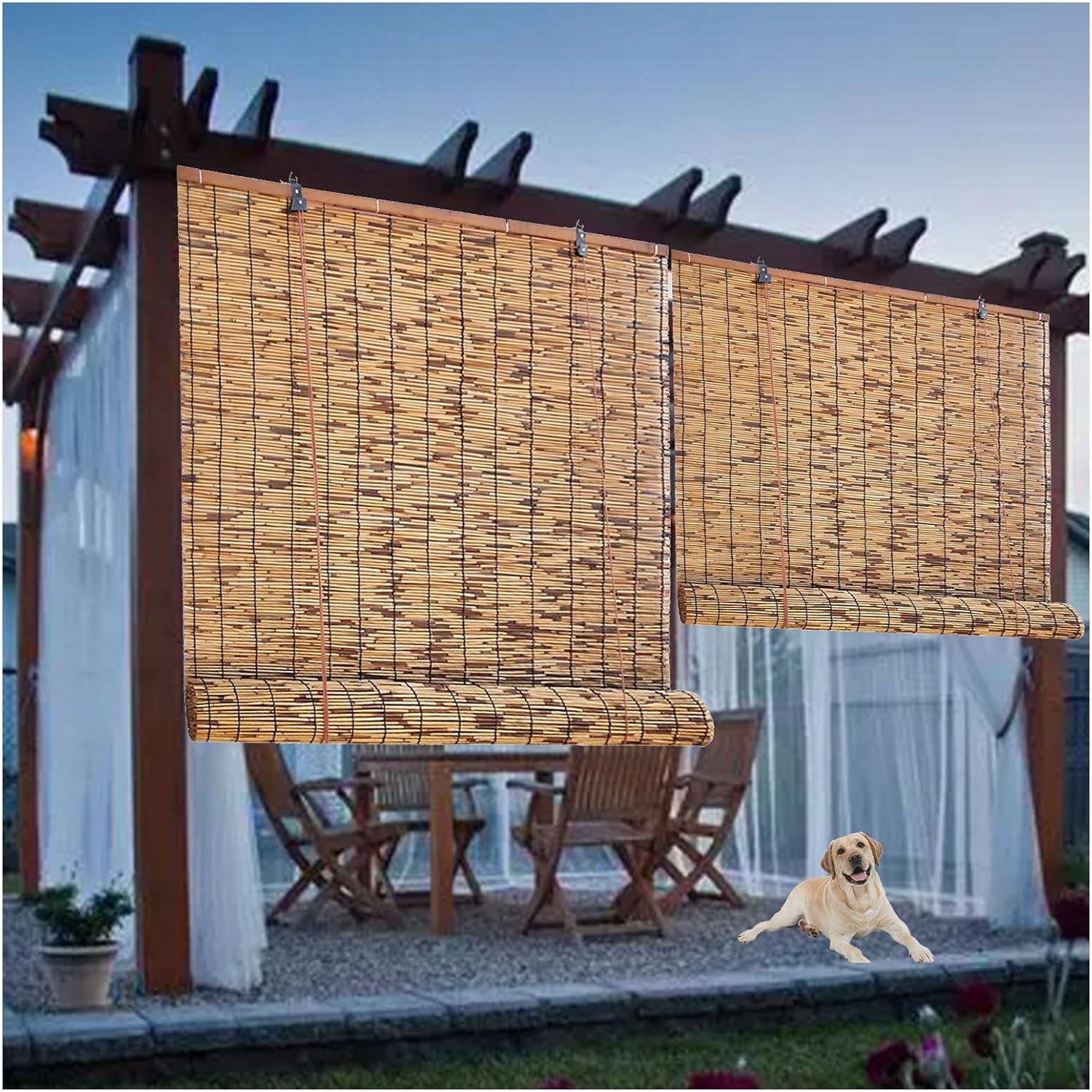 Amazon.com: Bamboo Windows Shades for Home, Roll Up Waterproof Privacy ...