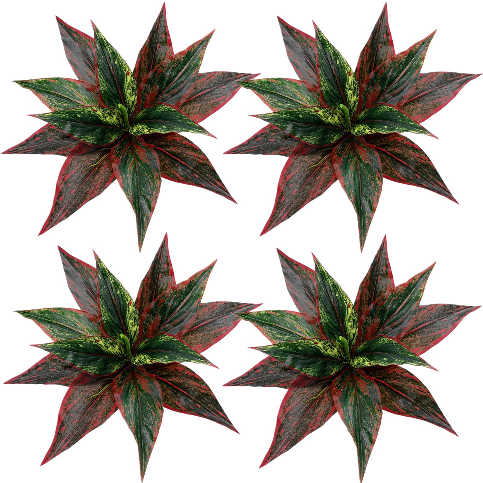 5 Best Outdoor Spiky Plants | Forget the Watering Can