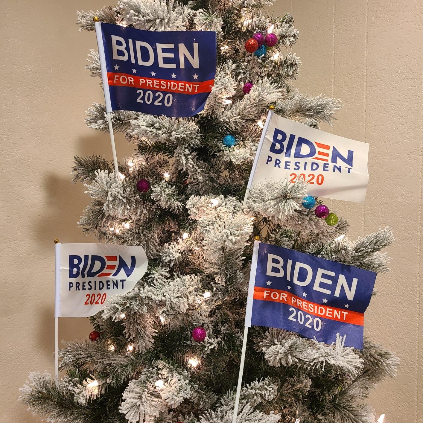 Amazon.com: 3x5 FT Joe Biden 2020 Flag set for 2020 American ...