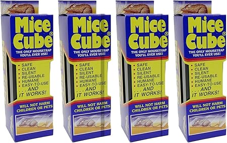 Amazon.com : Mice Cube Reusable Humane Mouse Trap 4 Pack : Rodent Traps ...
