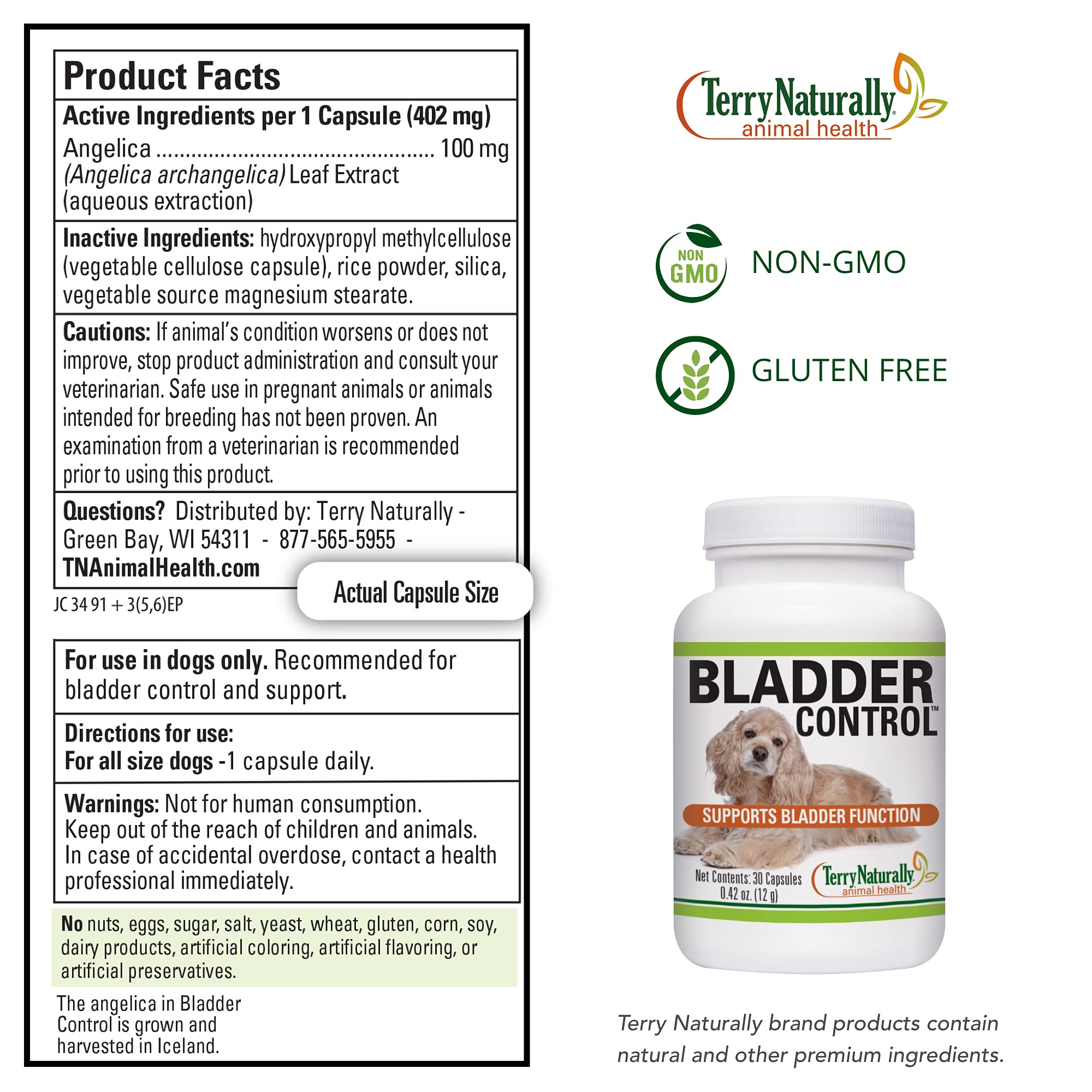 What Can I Give My Dog For Bladder Control