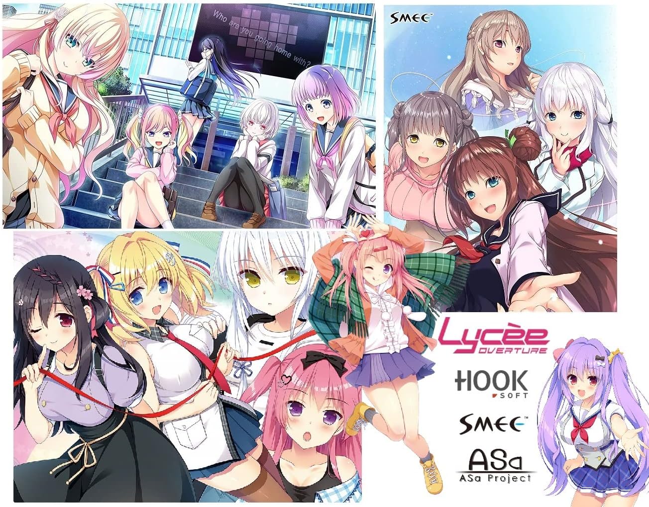 Amazon.co.jp: リセ オーバーチュア Ver.HOOKSOFT&SMEE&ASa Project ブースターパック BOX : おもちゃ