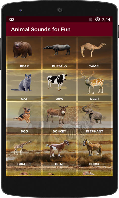 Animal Sounds Fun - App on Amazon Appstore