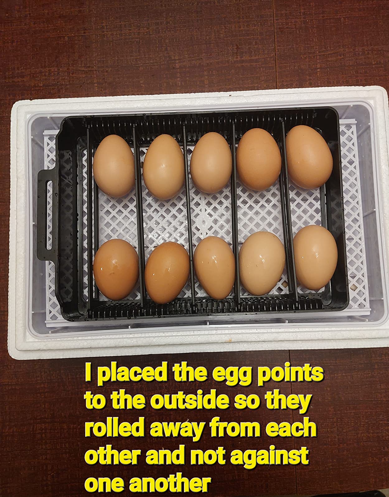 $10/mo - Finance TRIOCOTTAGE Egg Incubator with Automatic Egg Turning ...