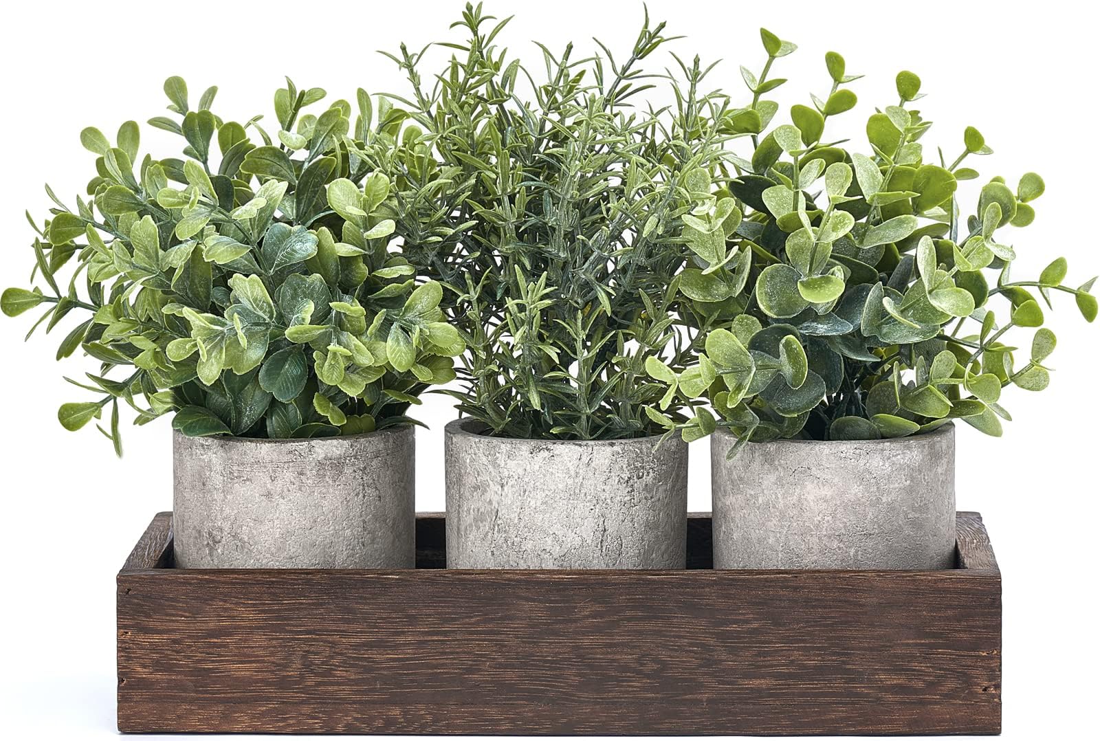 Amazon.com: plants 3 Pack Mini Potted Fake Plants Artificial Small ...