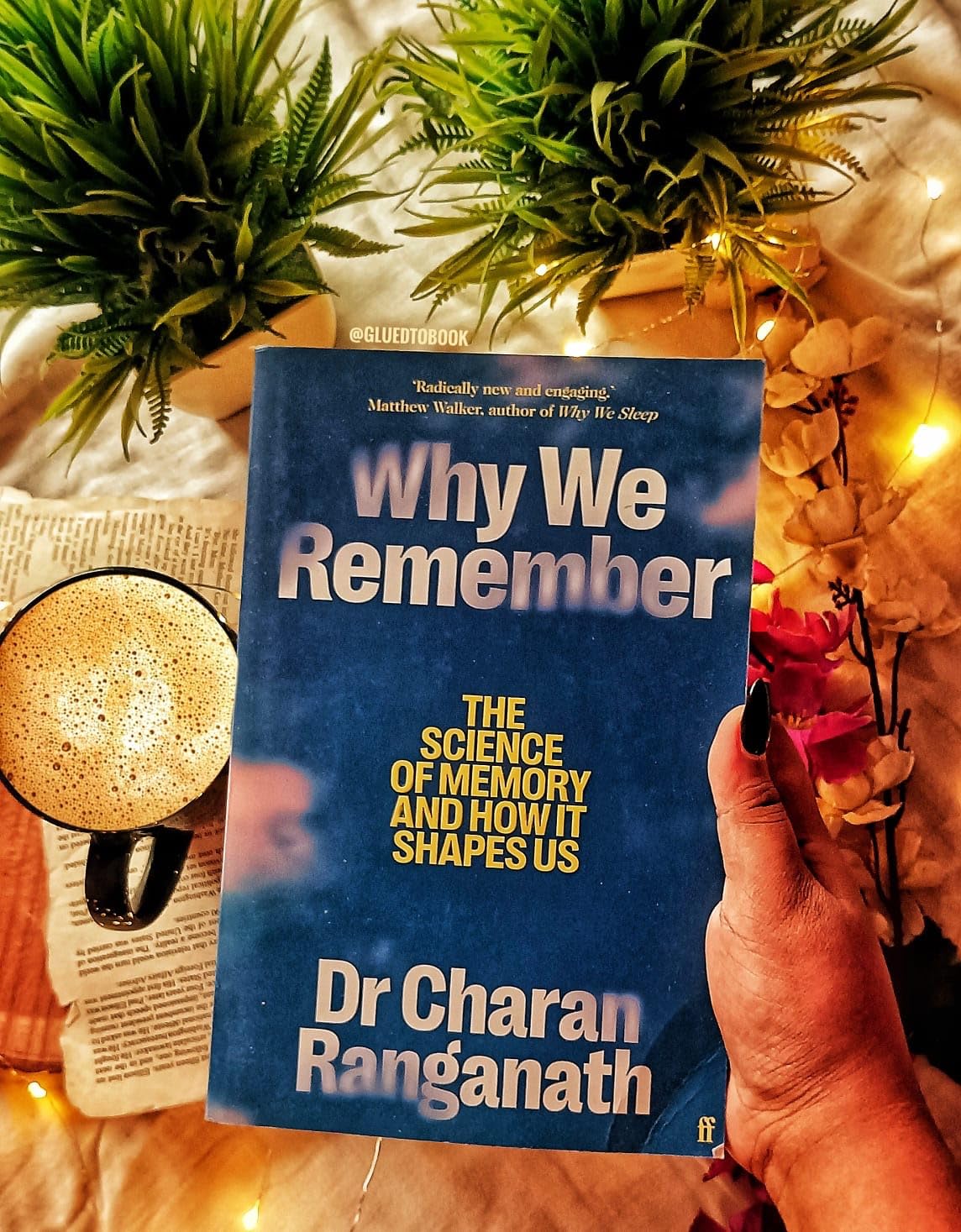 Buy Why We Remember: The Science of Memory and How it Shapes Us Book ...