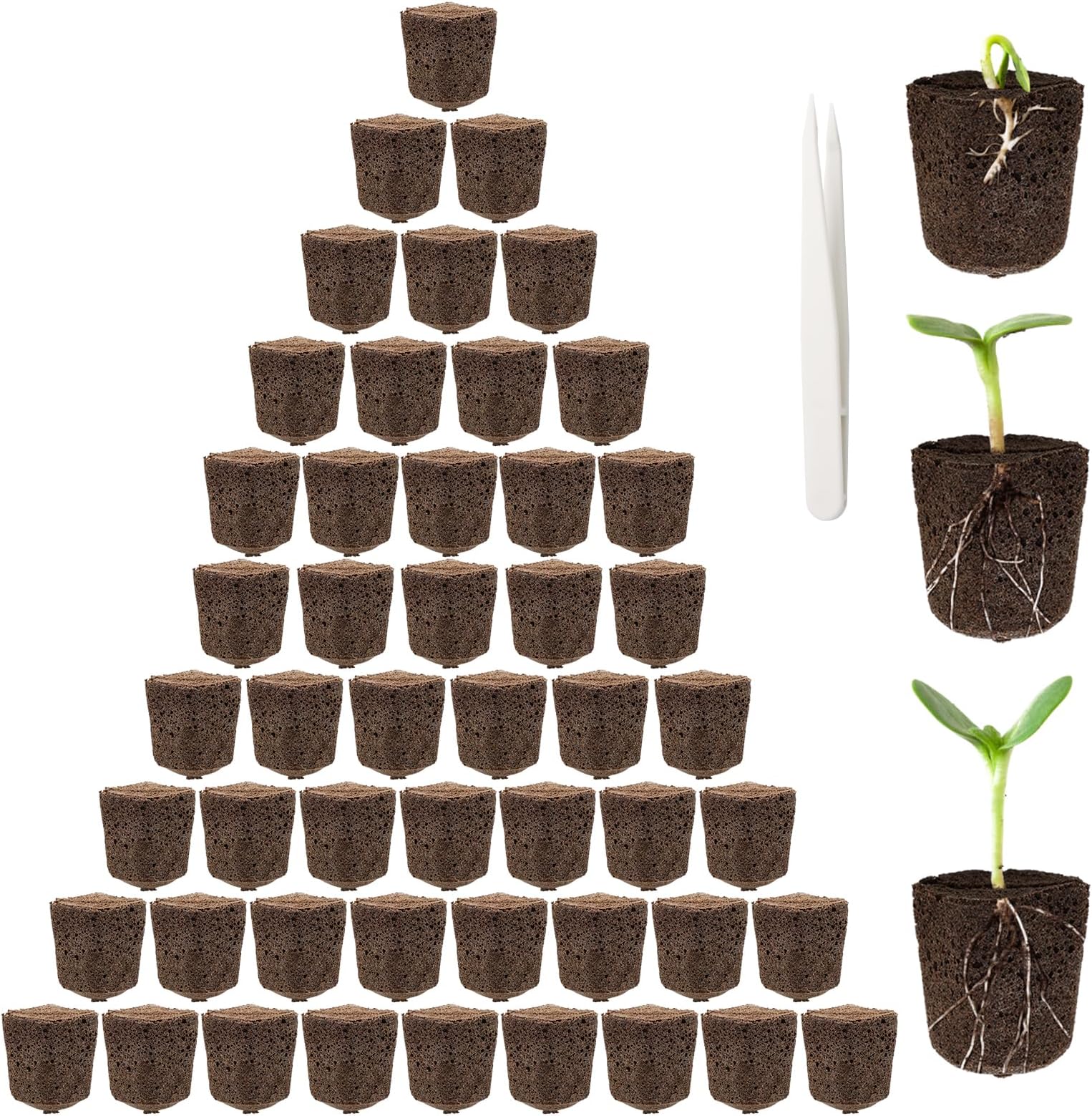 Amazon.com : vibedor 62 PCS Hydroponic Seed Growing System Hydroponic ...