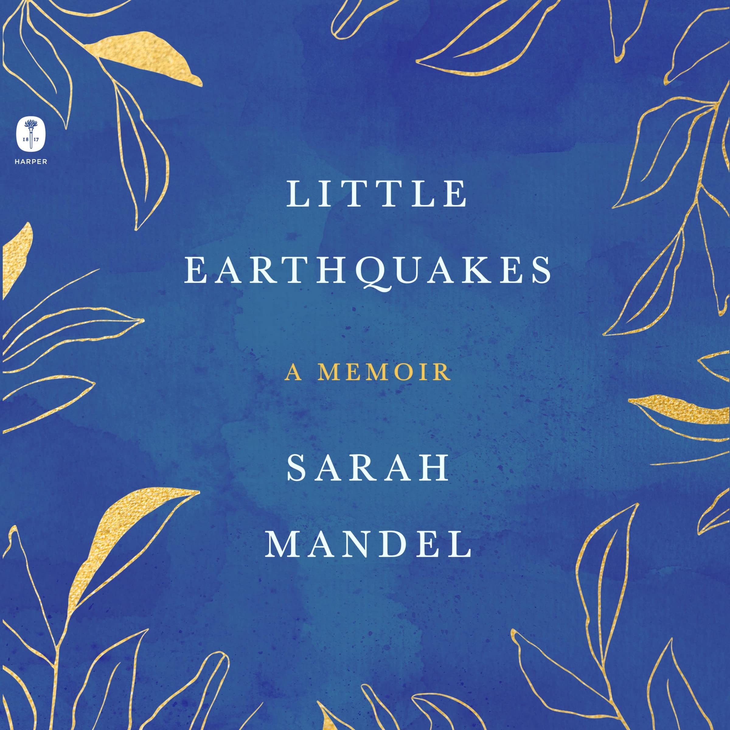 Little Earthquakes: A Memoir: Sarah Mandel: 9798212217262: Amazon.com ...