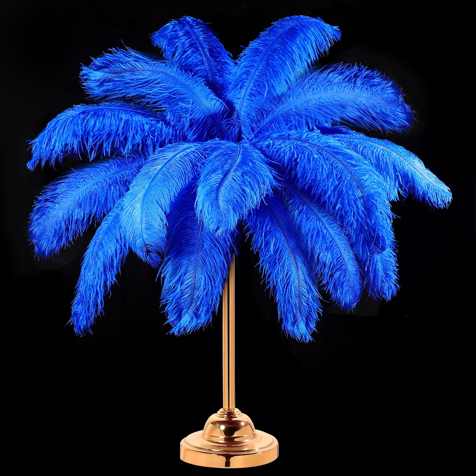Amazon.com: 30 Pcs Large Natural Ostrich Feathers Bulk 16-18 Inch for ...