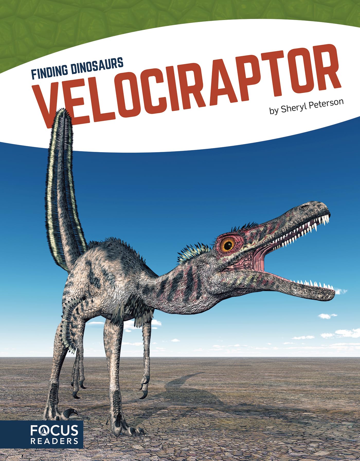 Velociraptor (Finding Dinosaurs (Library Bound Set of 8)): Sheryl ...