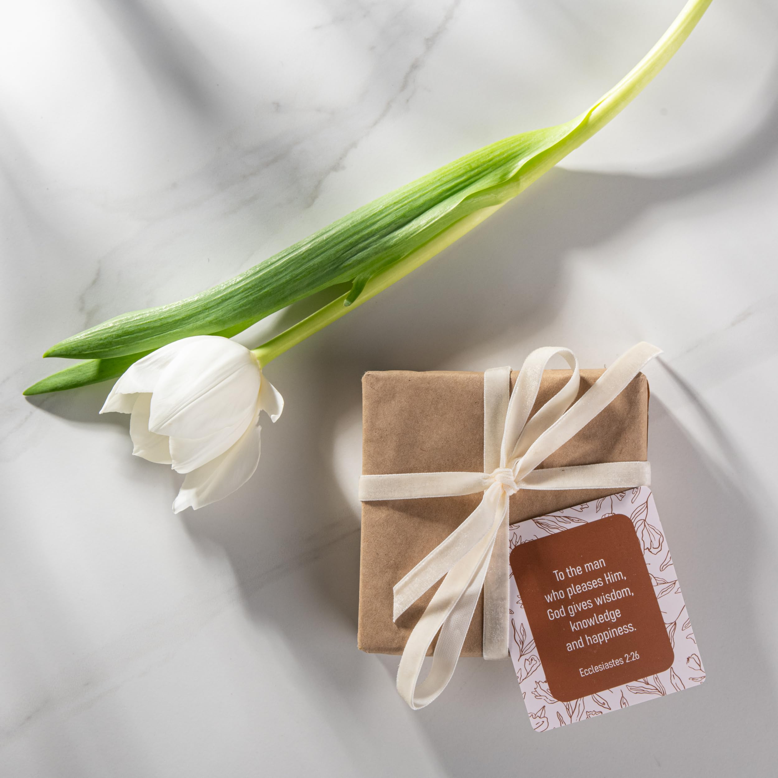 Snapklik.com : DIVERSEBEE Bible Verse Cards, 60 Unique, Assorted Mini ...