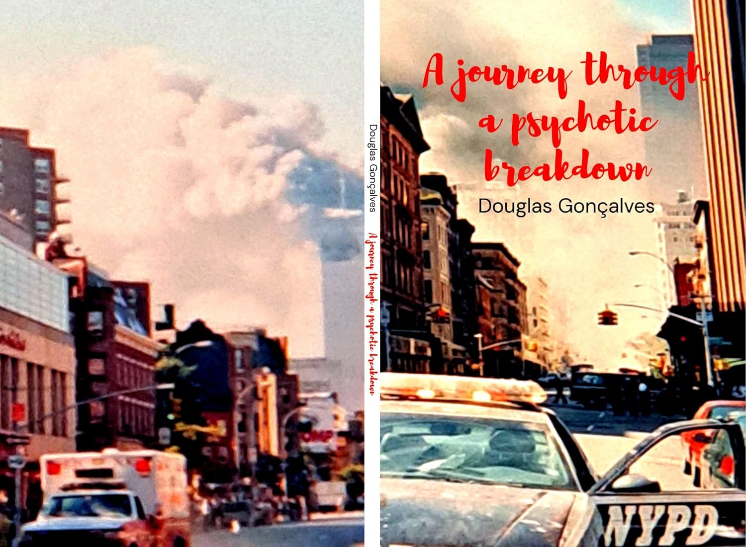 A journey through a psychotic breakdown - Kindle edition by Goncalves ...