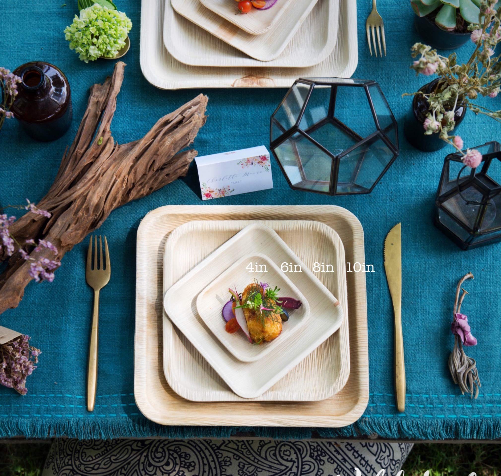 Biodegradable Wedding Plates 10" / 25 Pack Natural Disposable Palm