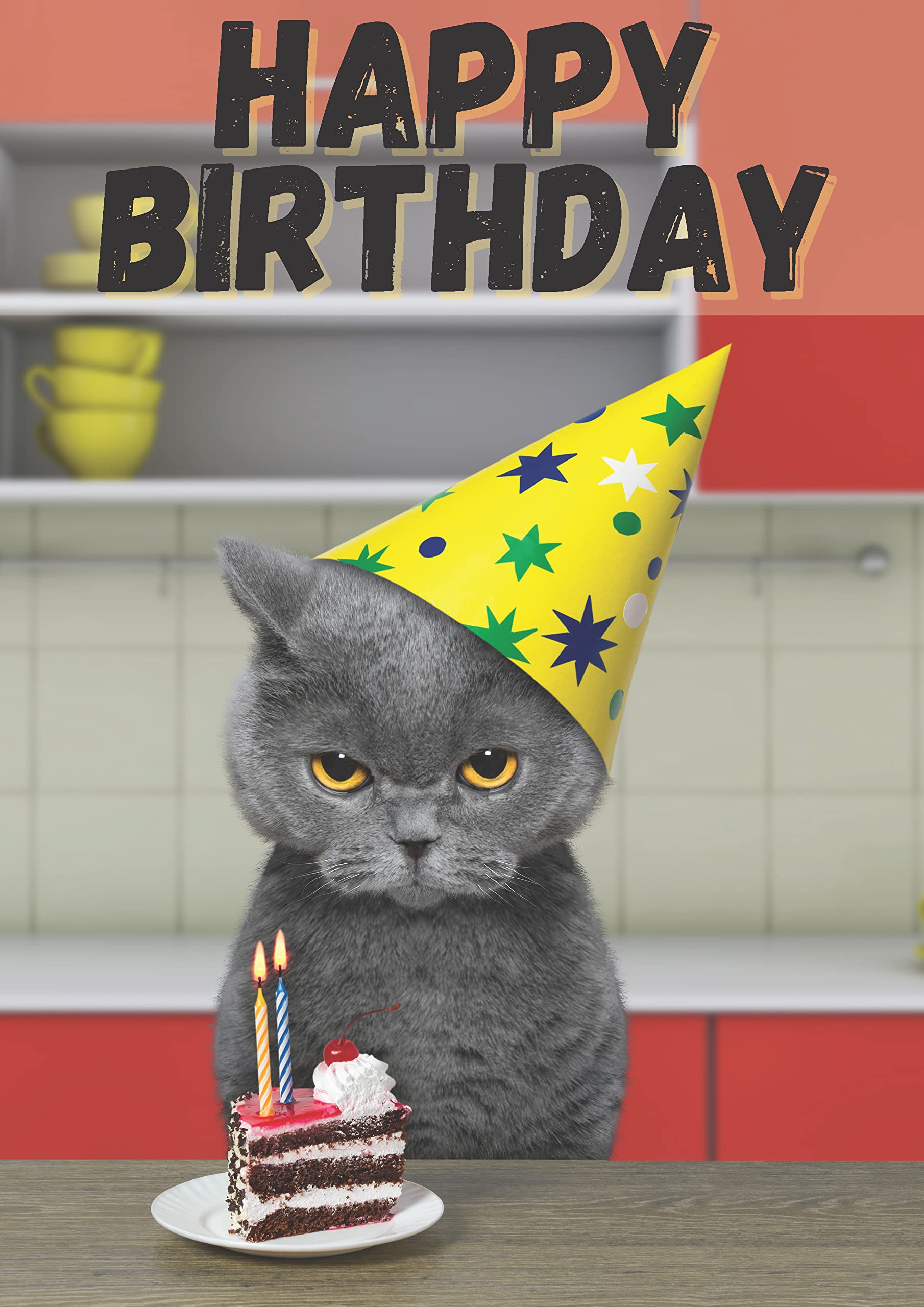 Grumpy Cat Birthday Sayings Magic Paper Labs | Augmented Reality