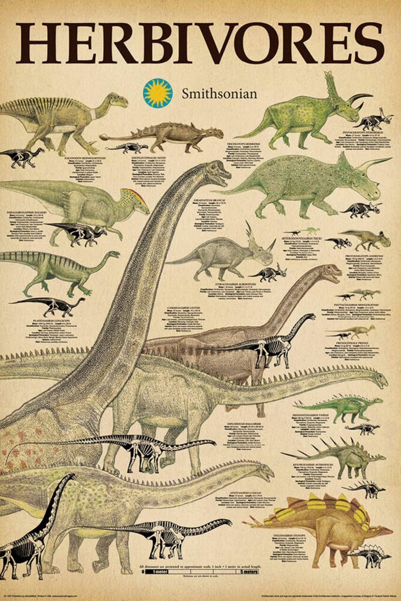 Amazon.com: Buyartforless Smithsonian Carnivores Dinosaurs 36x24 ...