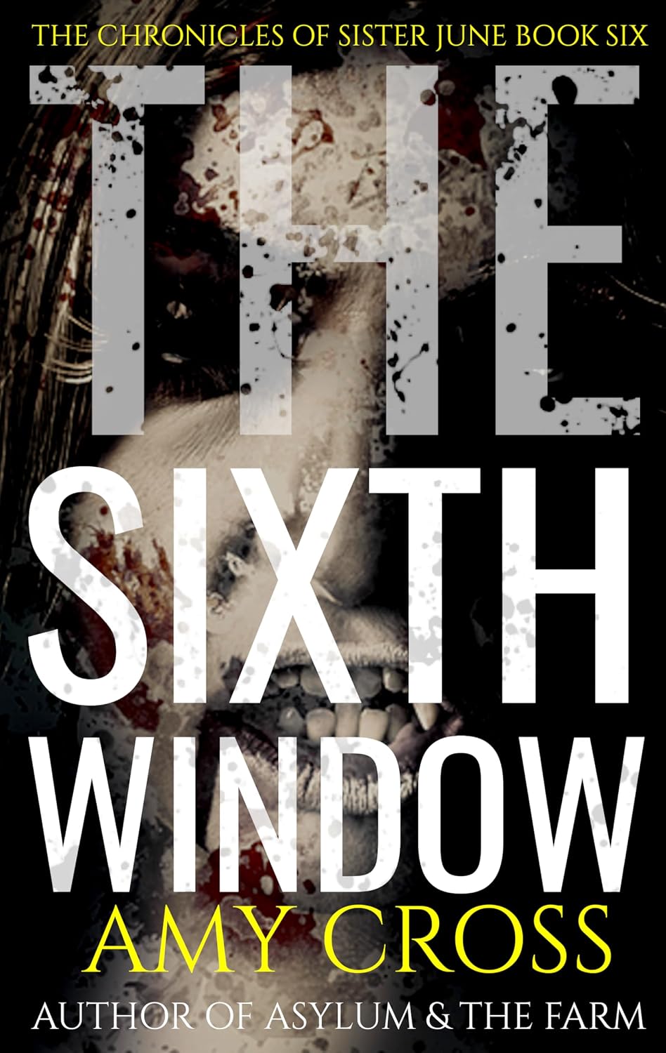 Amazon.com: The Sixth Window (The Chronicles of Sister June Book 6 ...