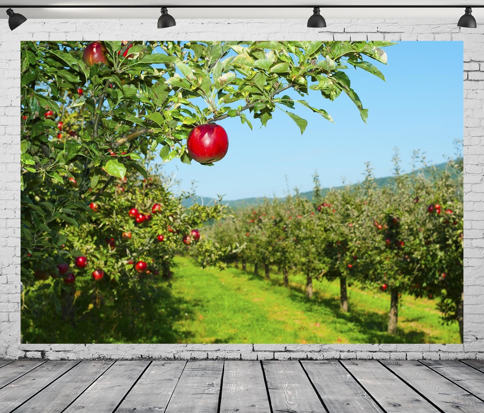 Apple Orchard Background
