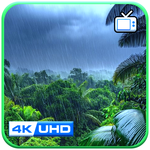Jungle Oasis - Tropical Rainforest Nature Sounds Screensaver - App on ...