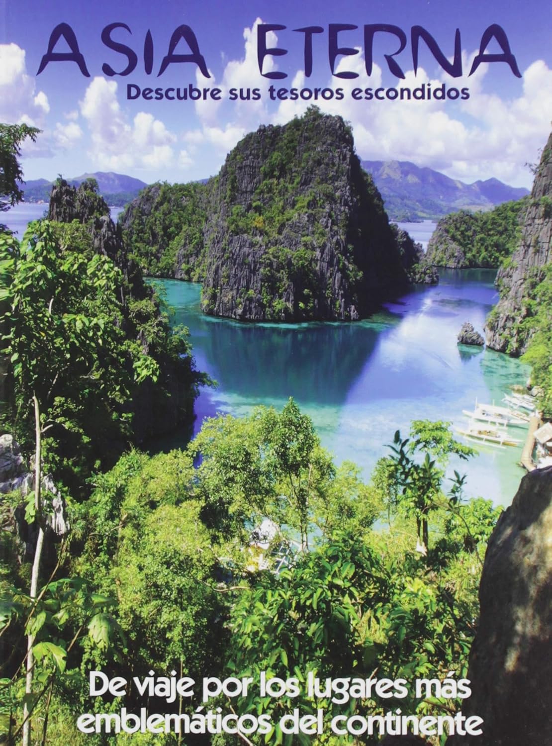 Amazon.com: Asia eterna: 9788417823580: Mazarrasa, Luis: Books