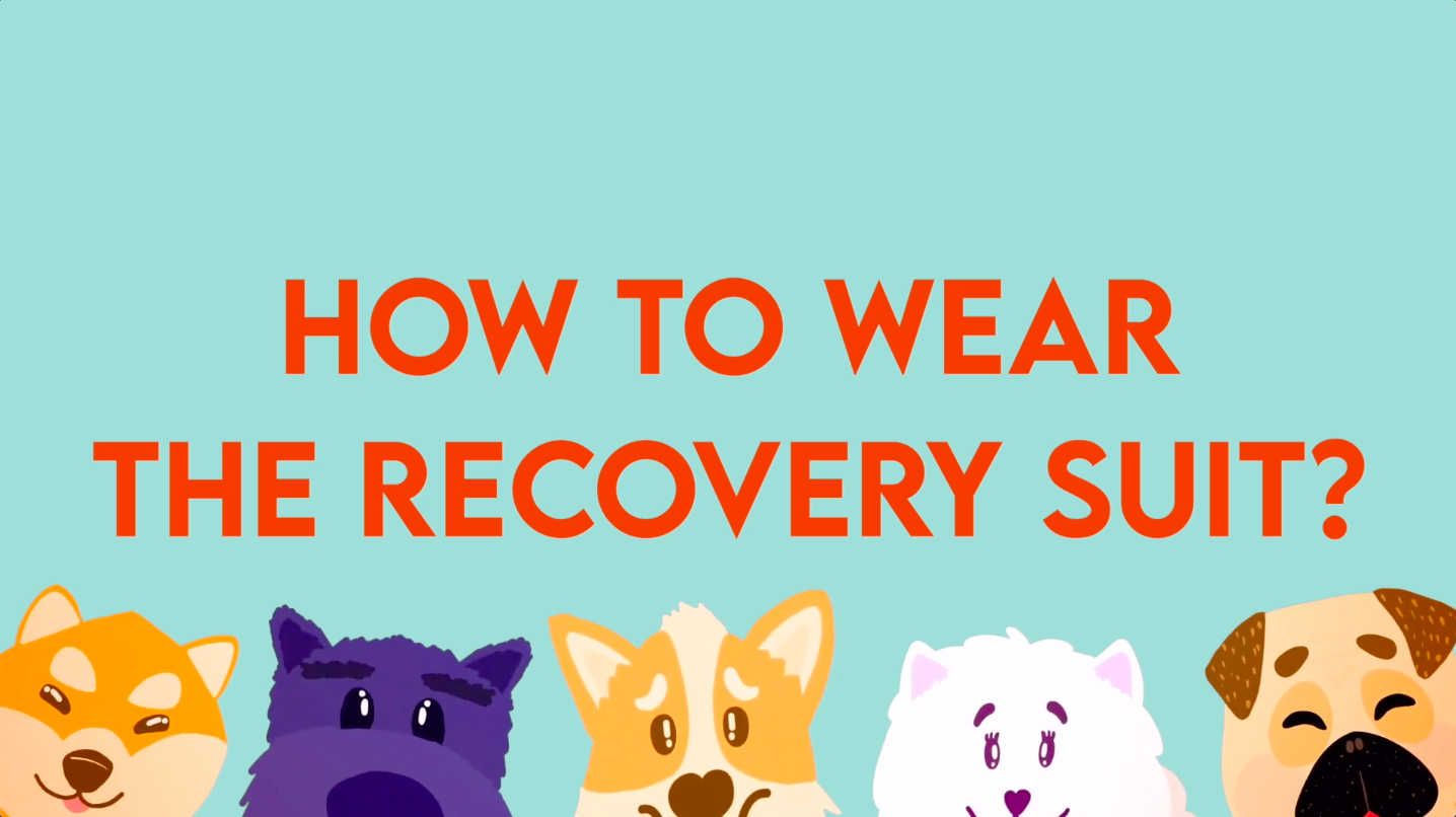 Watch How to wear the recovery suit on Amazon Live