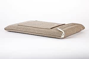 Applesac Red Delicious 17 : Amazon.ca: Electronics