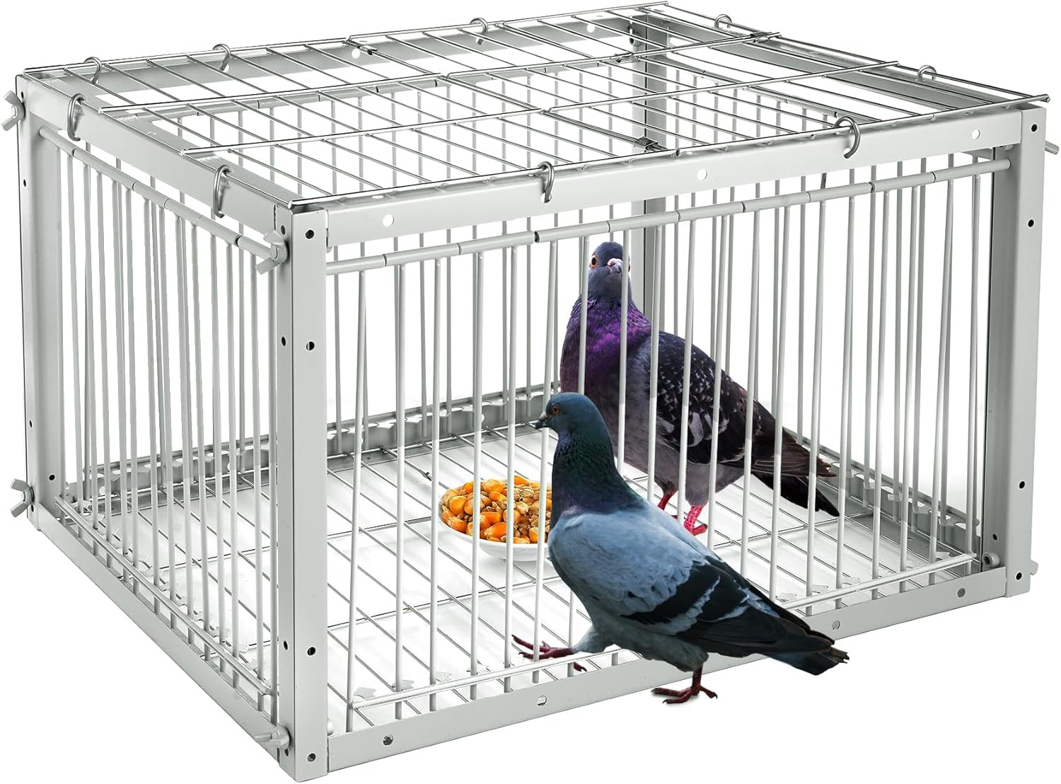 Amazon.com: Pigeon Trap with Escape-Proof Design, Pigeon Cage with One ...