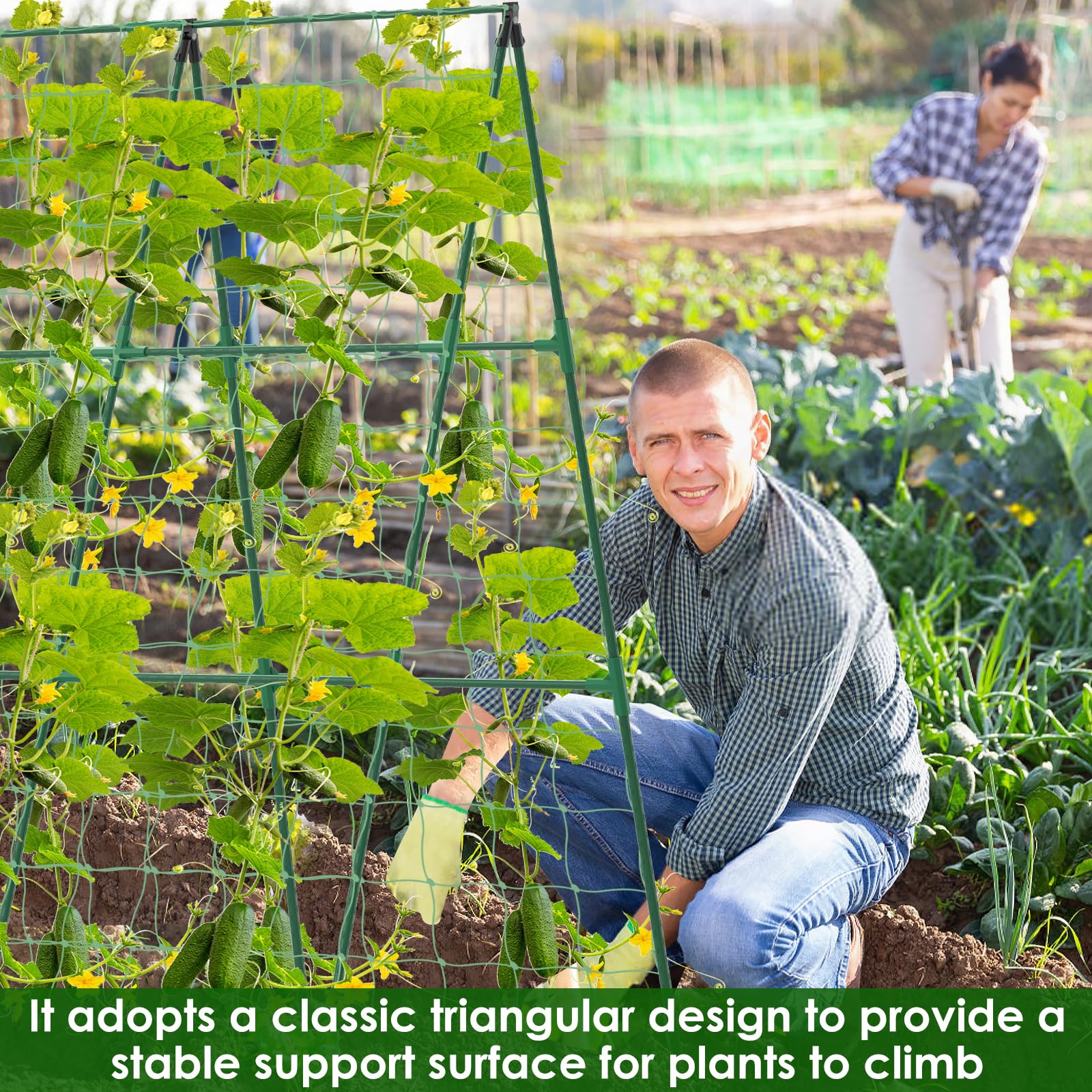 Design A Frame Vegetable Trellis