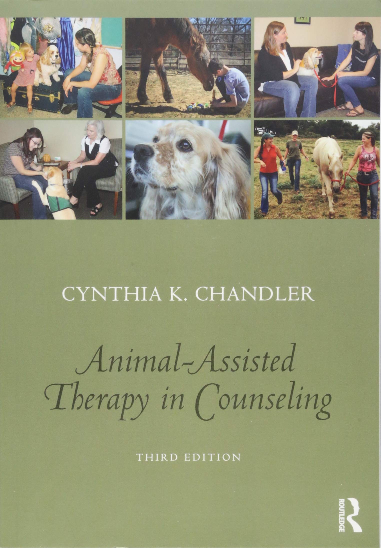Snapklik.com : Animal-assisted Therapy In Counseling