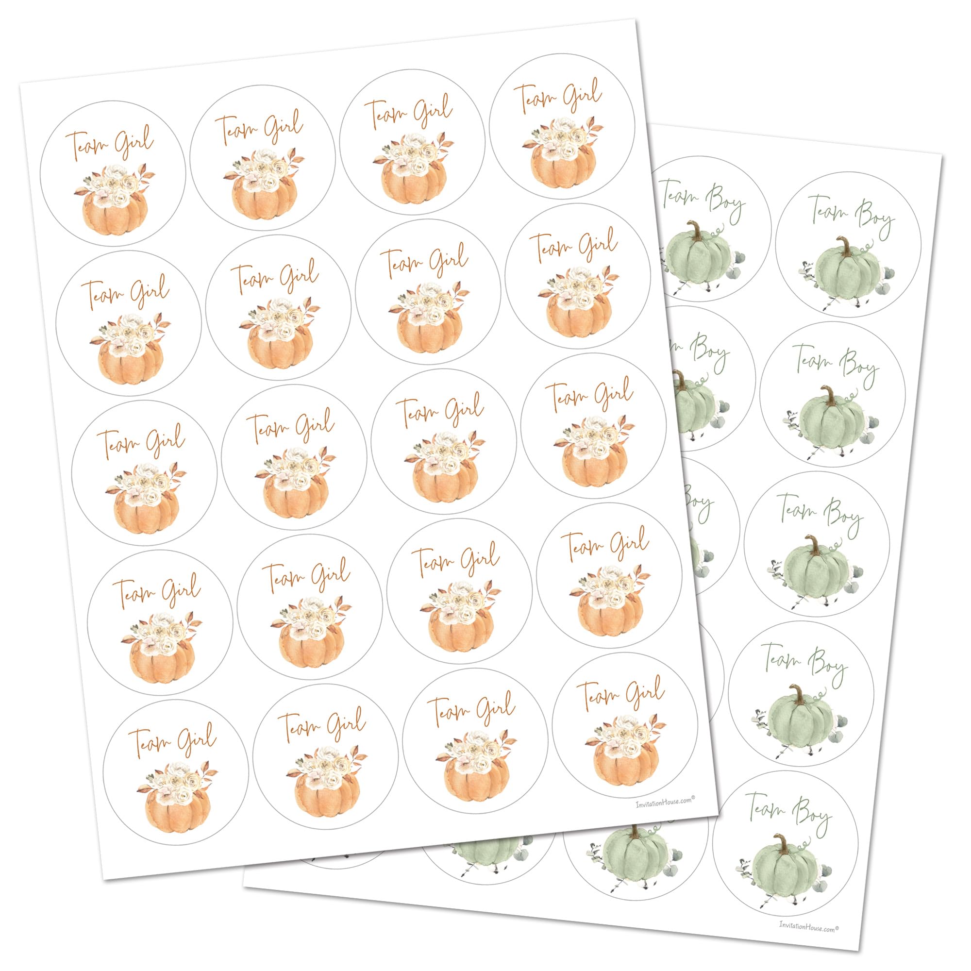 Gender Receal Stickers, Box Decorations, Team Boy Team Girl Labels, Boy ...