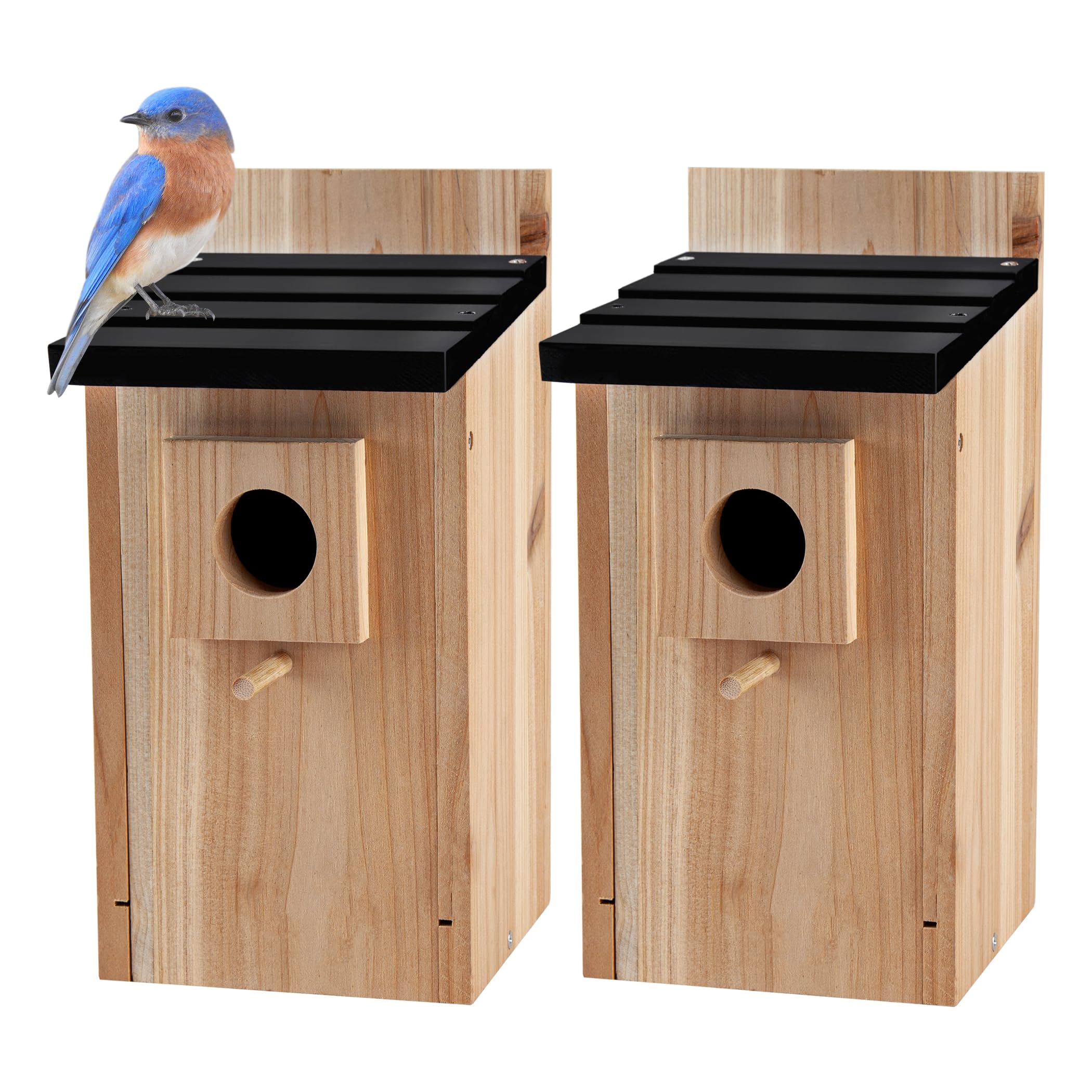 Amazon.com: CARTMAN 0.5 Inch Thick Blue Bird Box House, Wood Bird ...