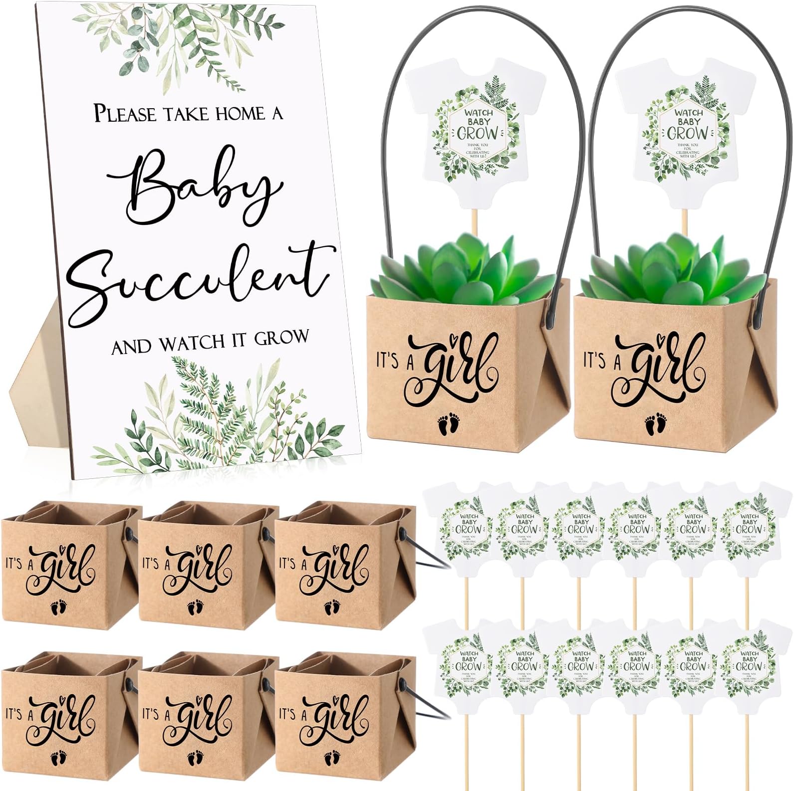 Amazon.com: Geetery 101 Pcs Succulent Baby Shower Party Favor 1 Wooden ...