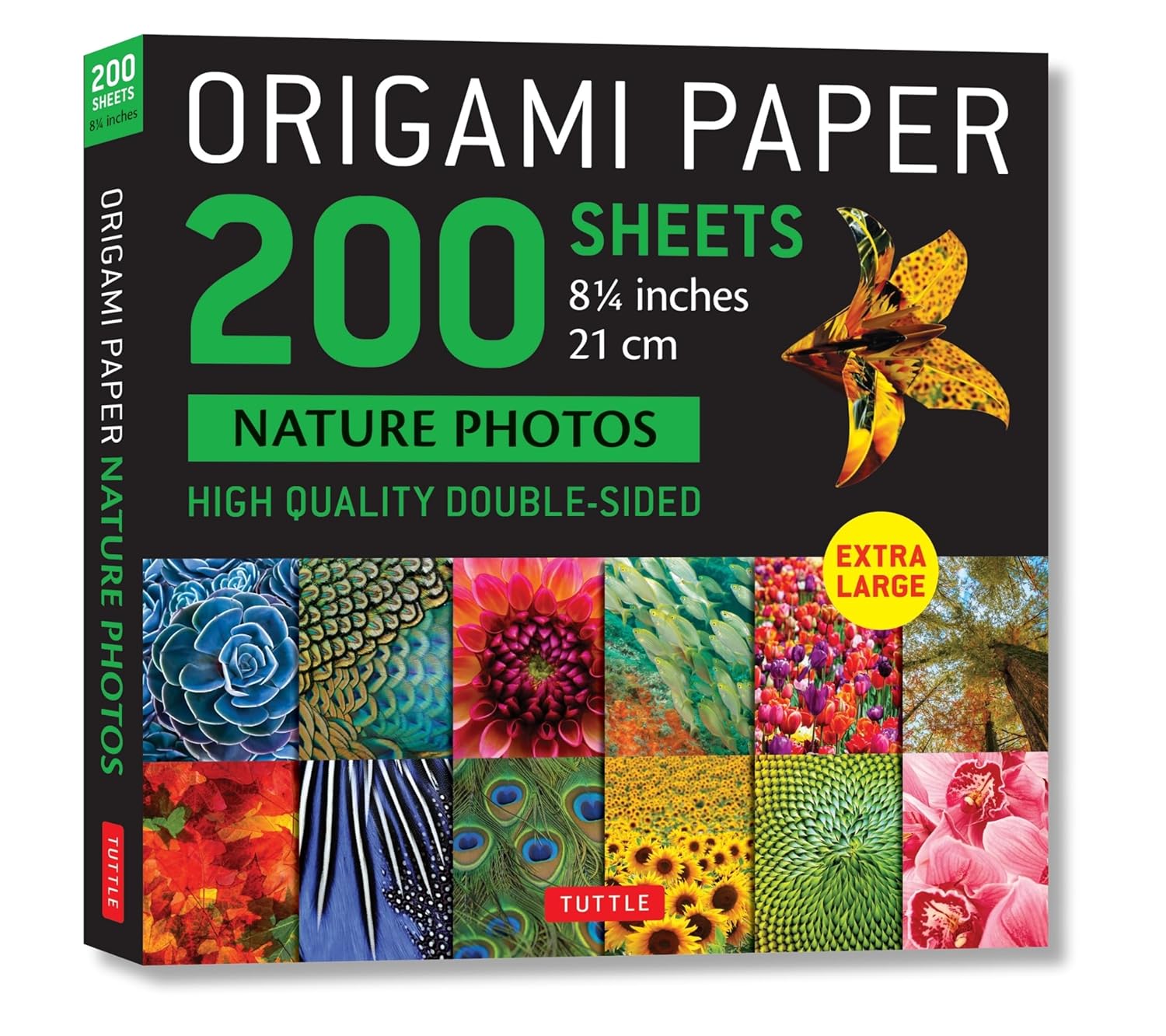 Amazon.com: Origami Paper 200 sheets Nature Photos 8 1/4" (21 cm ...