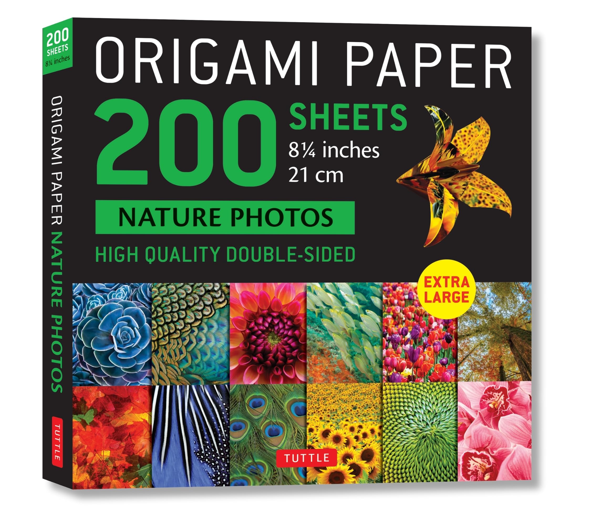 Origami Paper 200 Sheets Nature Photos 8 1/4" (21 CM): Extra Large ...
