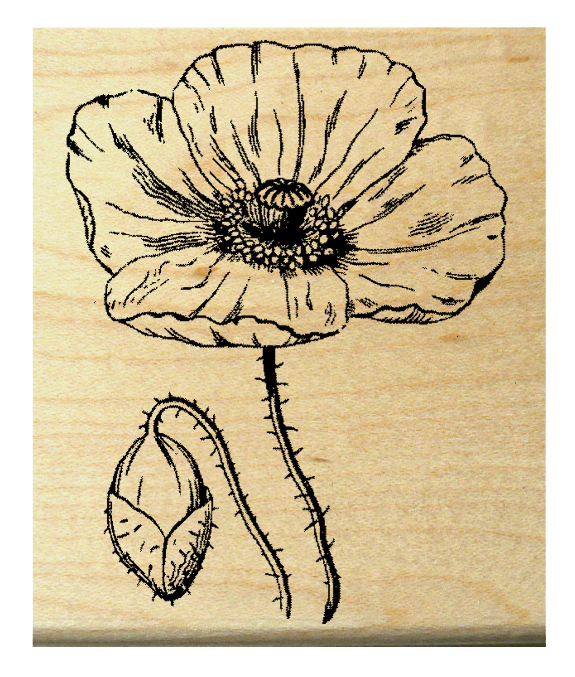 Amazon.com: P25 Poppy Flower Rubber Stamp WM : Arts, Crafts & Sewing