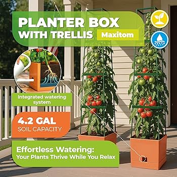 Green Tomato Self Watering Grow Boxes