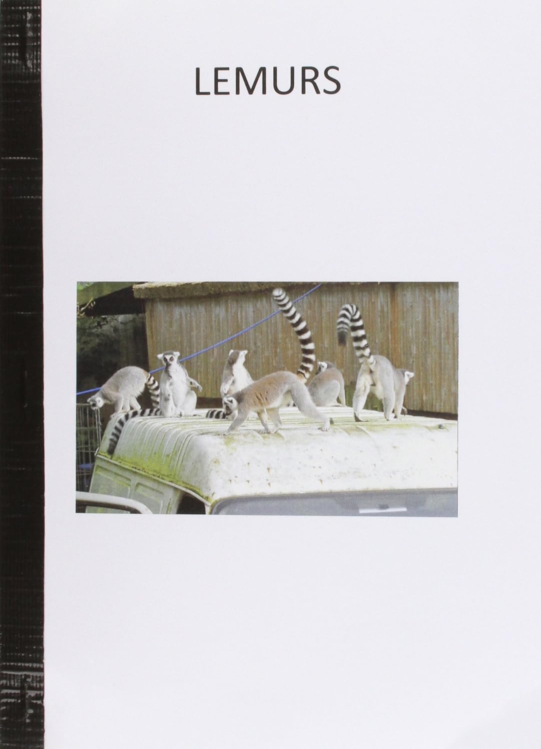 Buy Lemurs of Madagascar Book Online at Low Prices in India | Lemurs of ...