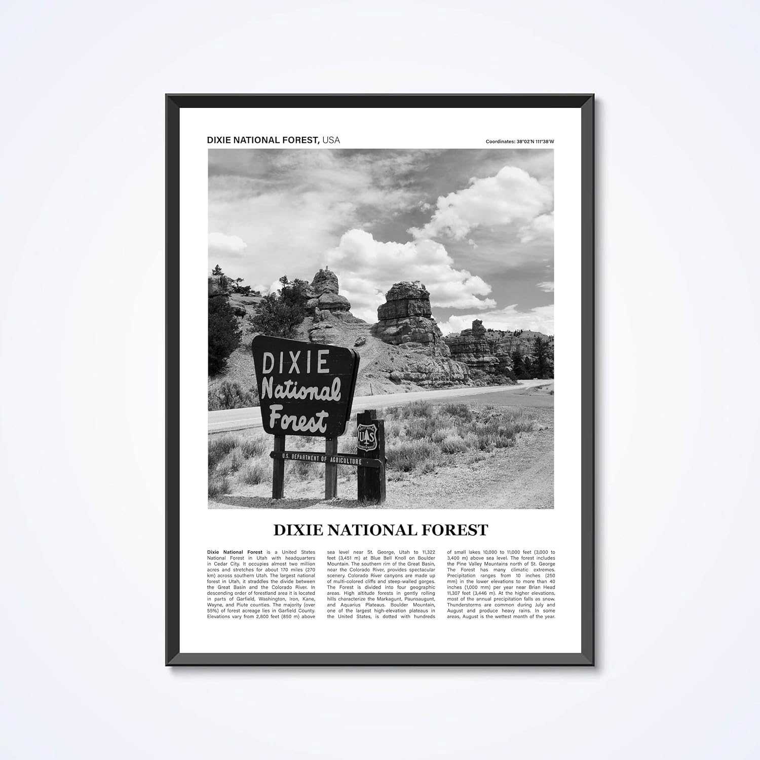 Amazon.com: Dixie National Forest Black and White Print, Dixie National ...